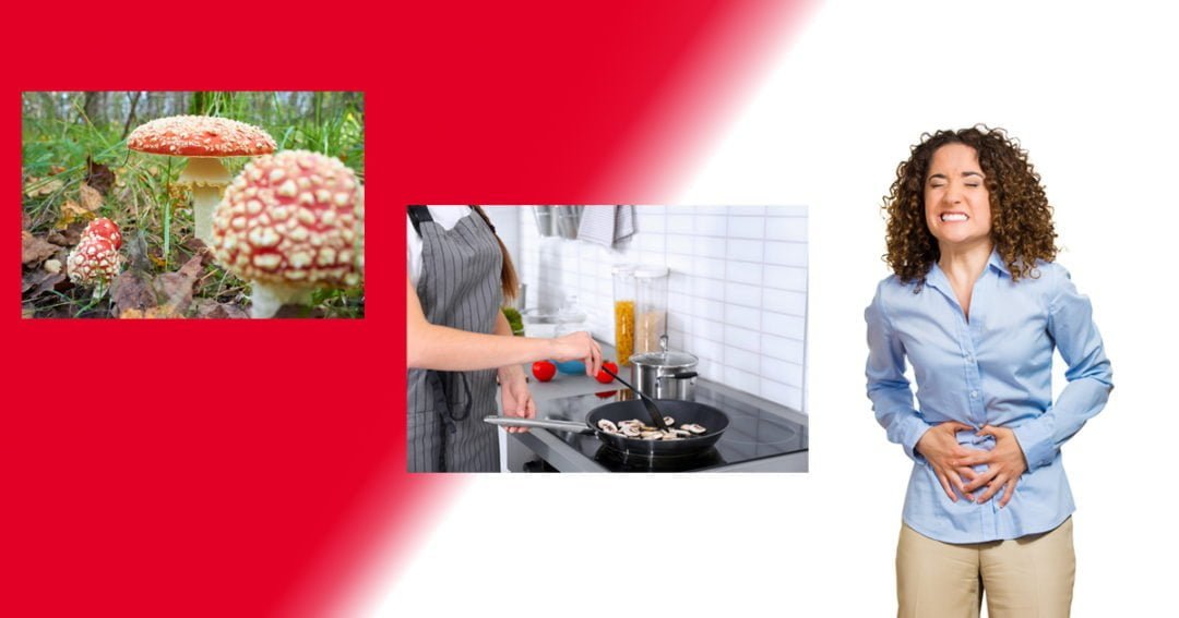 Intossicazione da funghi | Informazione medica gratuita | Med4Care