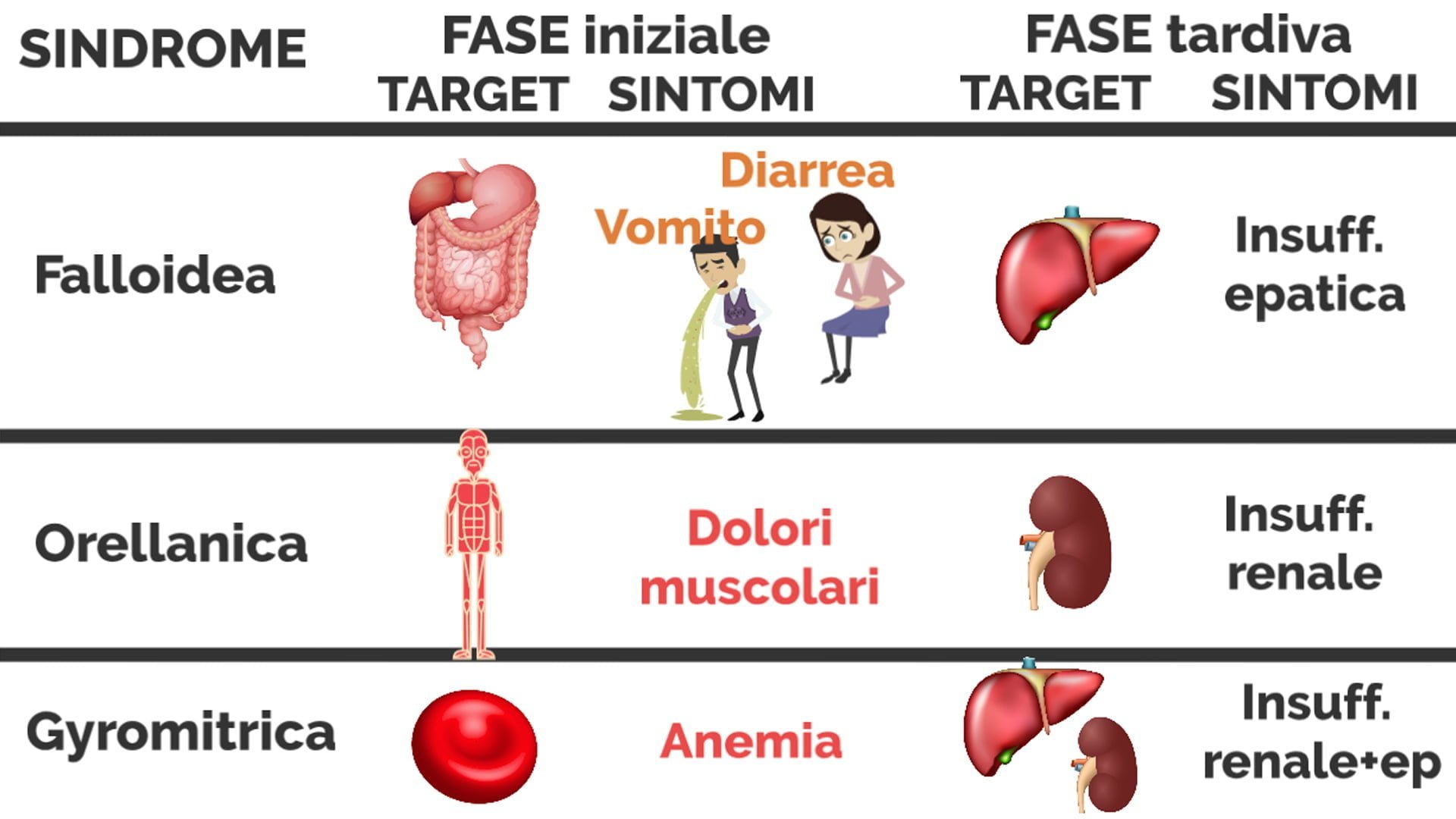 Intossicazione da funghi | Informazione medica gratuita | Med4Care
