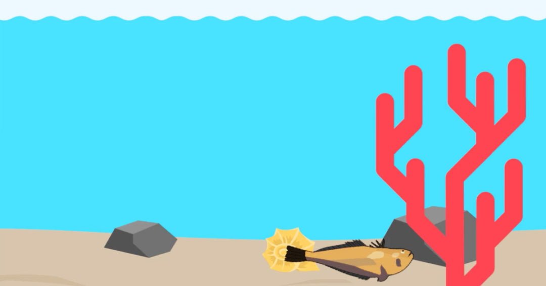 Incontri pericolosi in mare: tracina o pesce ragno - Med4Care