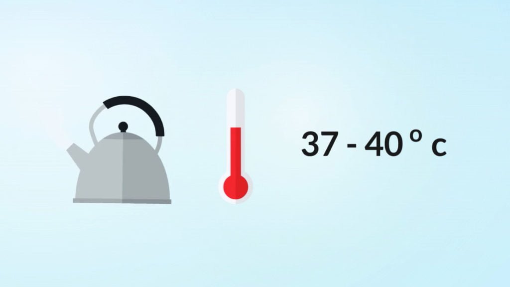 Incontri pericolosi in mare: tracina o pesce ragno - Med4Care