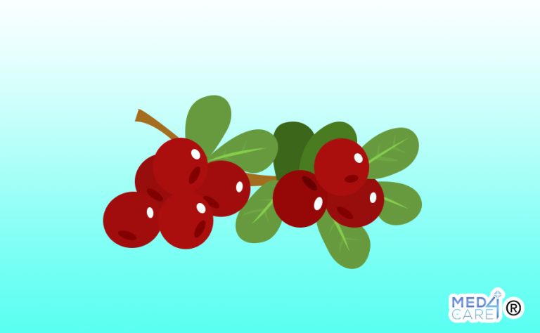 Mirtillo rosso americano: caratteristiche e proprietà medicinali - Med4Care
